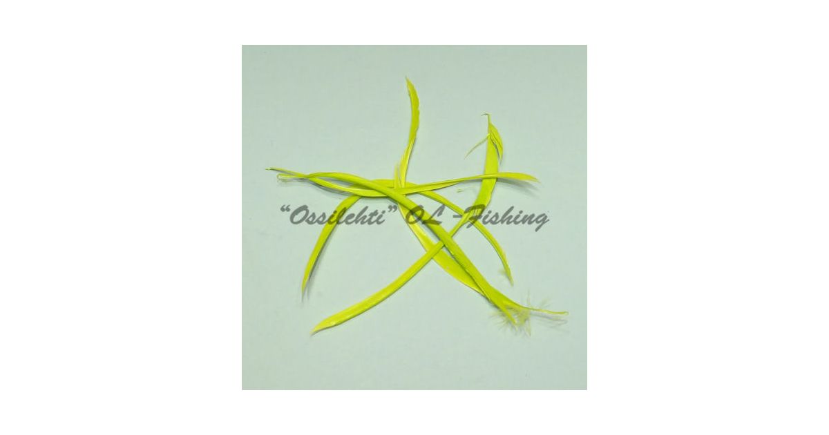 Hanhen (höyhen) biots siikaset hanhi TFH™, Chartreuse lime 5kpl ...