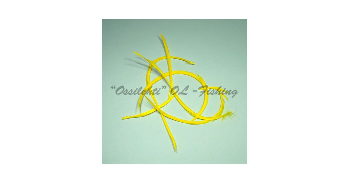 Hanhen (höyhen) biots siikaset hanhi TFH™, Yellow 5kpl | Ossilehtifishing